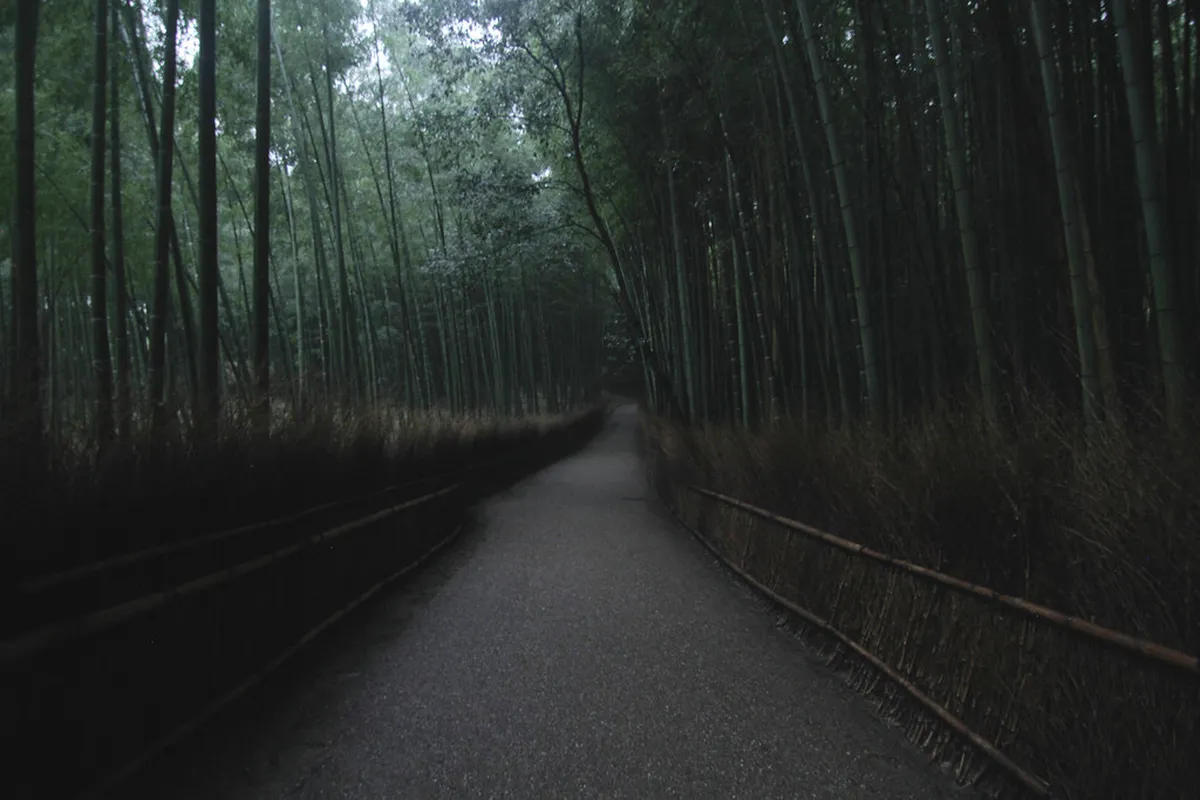 Arashiyama Bamboo Grove Visitor Guide: 10 Essential Tips & Attractions ...