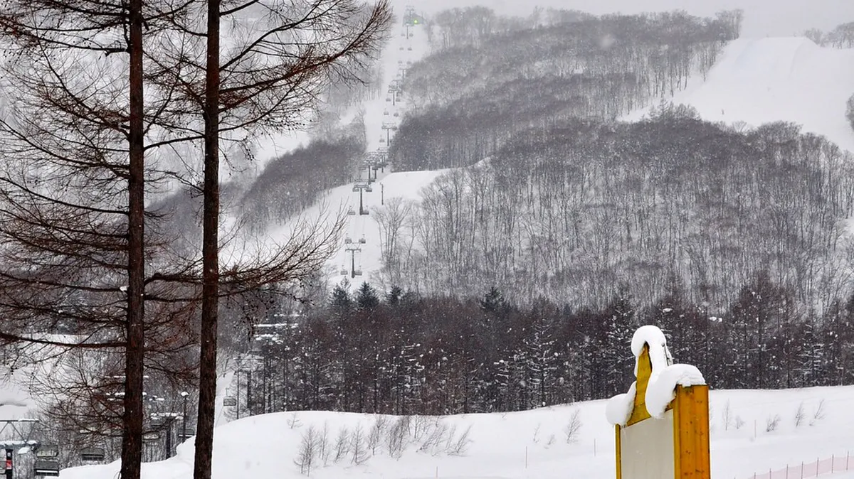 Best Time to Visit Niseko: The Ultimate Month-by-Month Guide | Japan ...