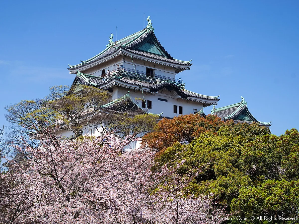 Best Time to Visit Wakayama (2026) | Japan Activity