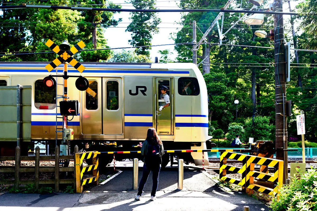 Kamakura Day Trip From Tokyo: Train, Pass & Itinerary (2026 Guide ...