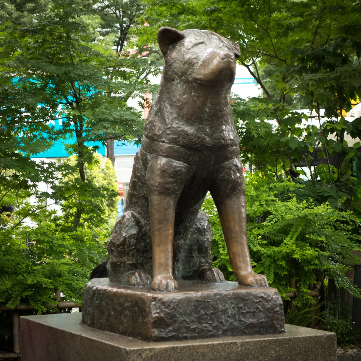 Shibuya Crossing Visitor Guide: 10 Ways to See the Scramble | Japan ...