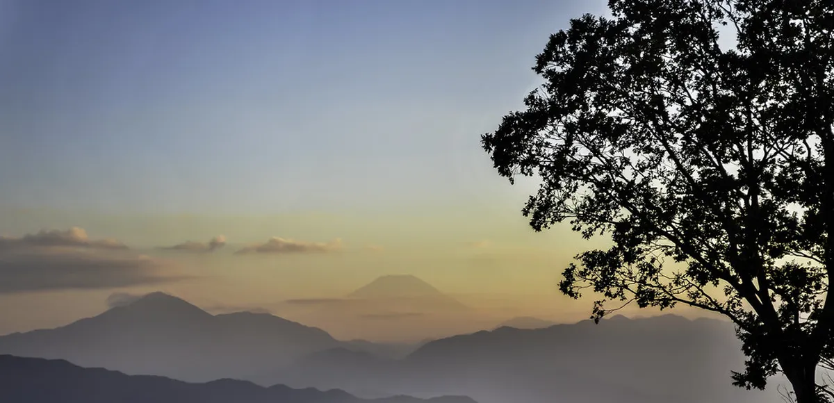 10 Best Tokyo Day Trips by Train (2026 Travel Guide) | Japan Activity