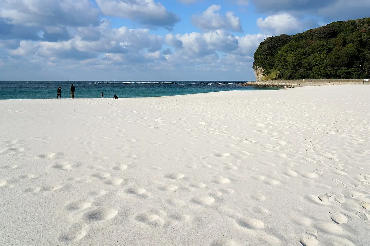 Wakayama Ramen and Local Food Guide (2026) | Japan Activity